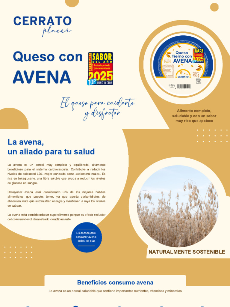 BRF 92610 7 | PDF | Queso | Alimentos