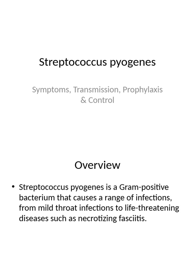Streptococcus Pyogenes Notes | PDF