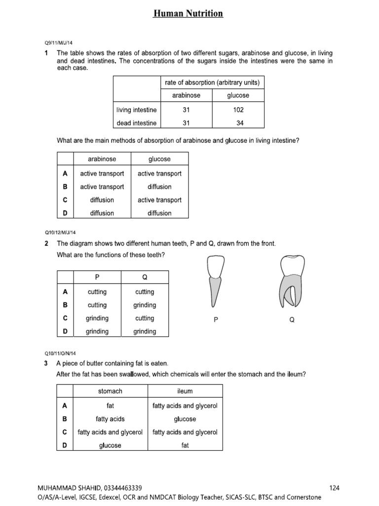 Human Nutrition MCQS | PDF