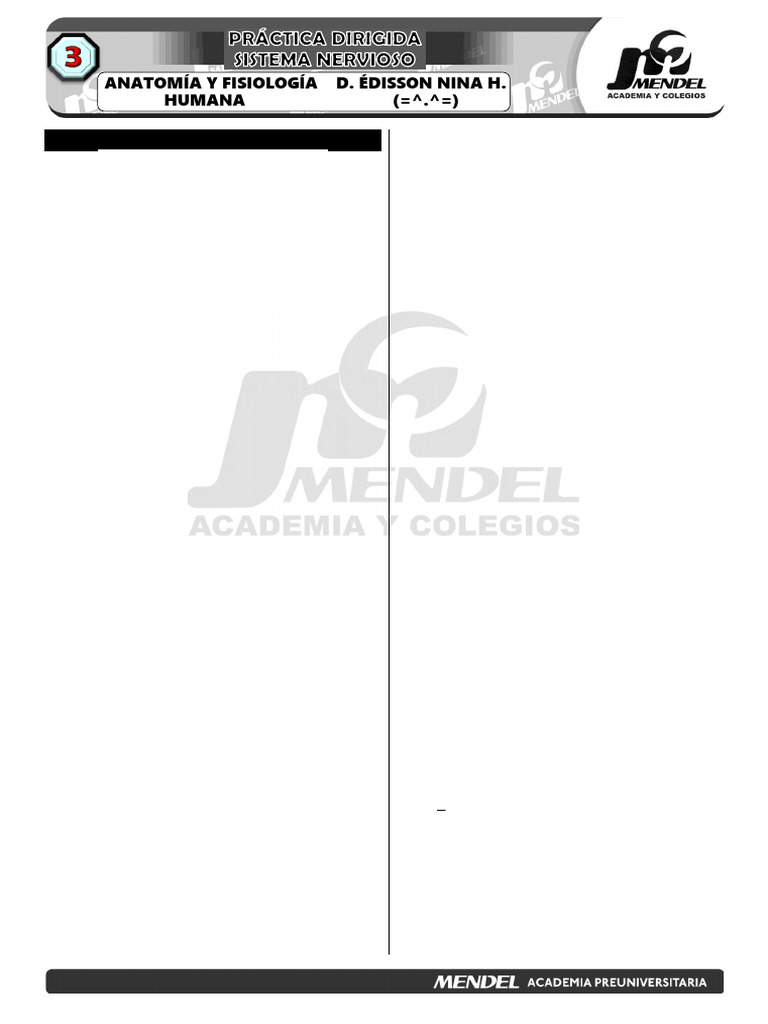 Iii. Medula, Meninges, LCR-144313414 | PDF | Médula espinal | Cerebro