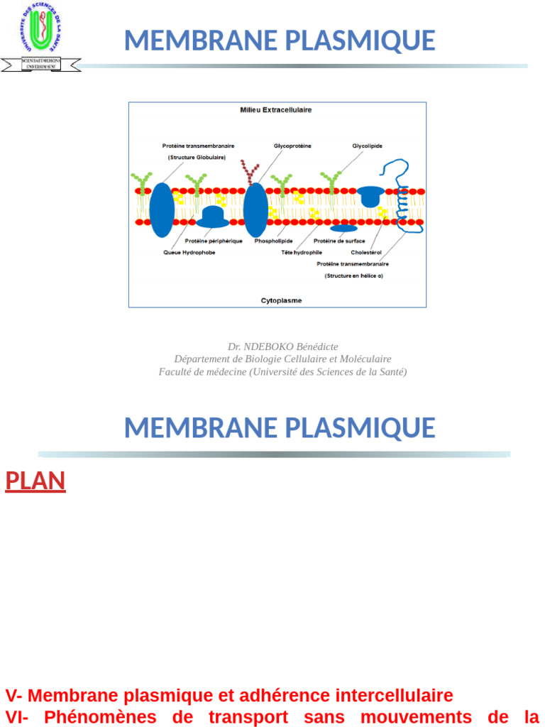 COURS 3 Membrane Plasmique TSBM 1 | PDF | Membrane cellulaire | Métastase