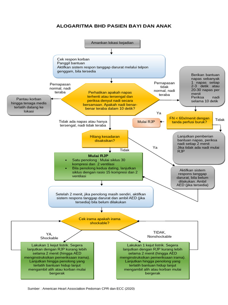 Alogaritma BHD Bayi Dan Anak | PDF