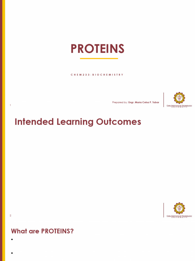 Lesson 4. Proteins: Everything You Have To Know | PDF | Amino Acid ...