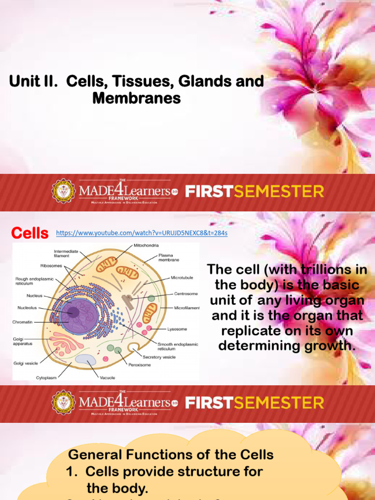 Unit II The Cell, Tissues, Membranes and Glands | PDF | Cell (Biology) | Human Body