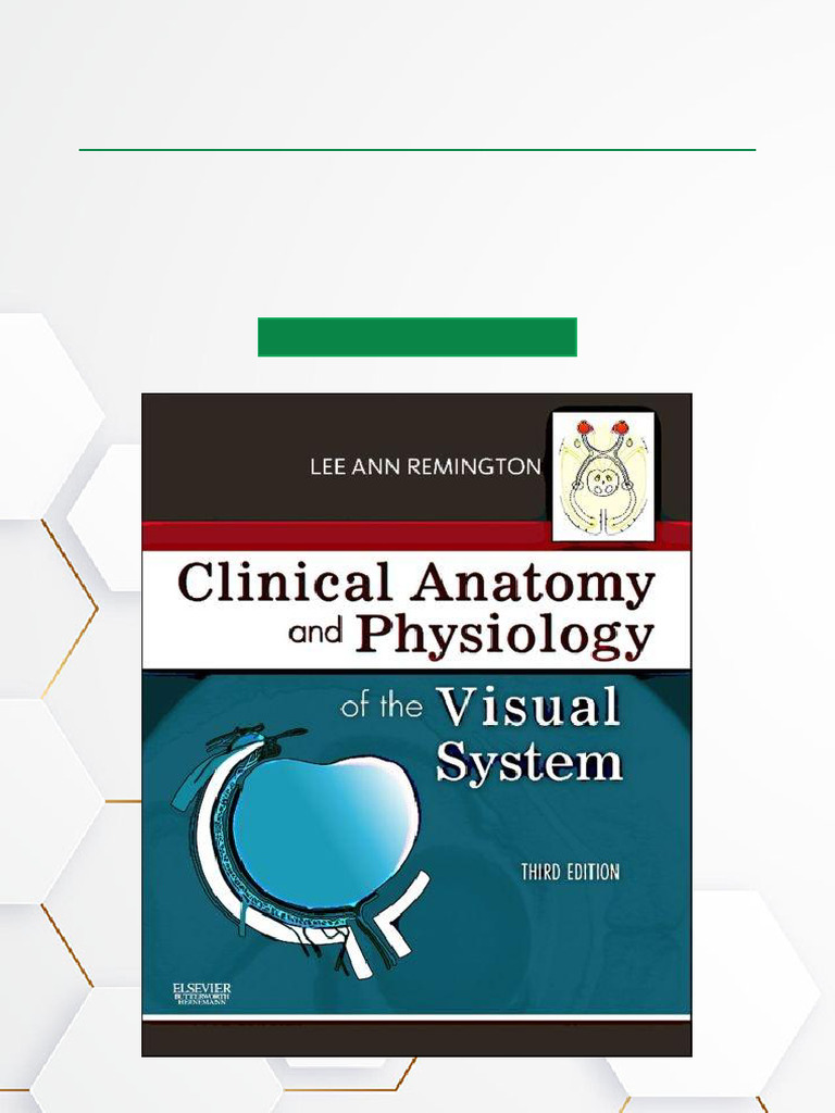 Clinical Anatomy of the Visual System | PDF | Epithelium | Cell Adhesion