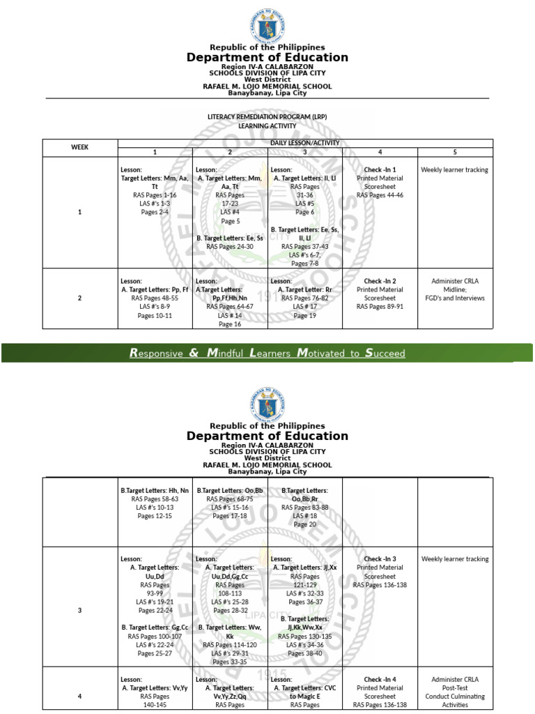 Literacy Remediation Program Activities | PDF | Social Science