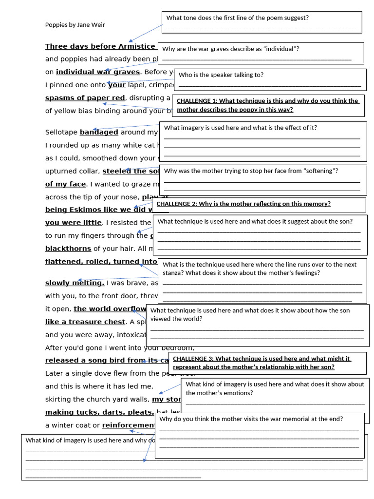 Poppies Challenge Worksheet | PDF | Clothing