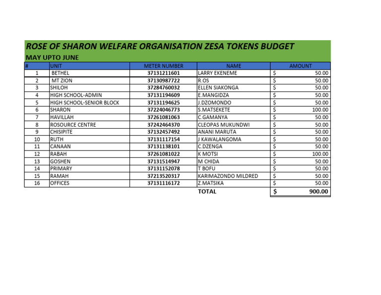 ZESA Tokens Budget Overview | PDF