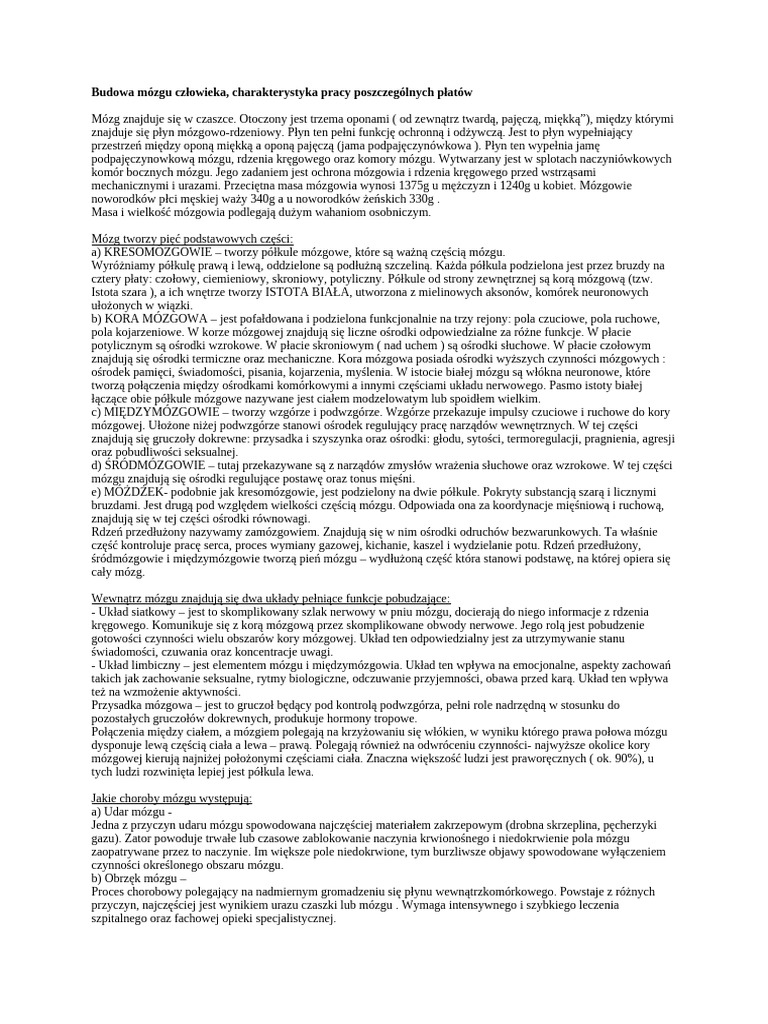 Budowa Mózgu Człowieka | PDF