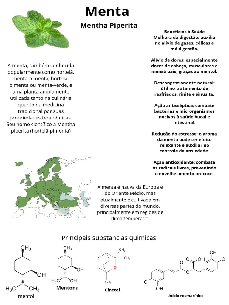 Menta (A3) (1) | PDF