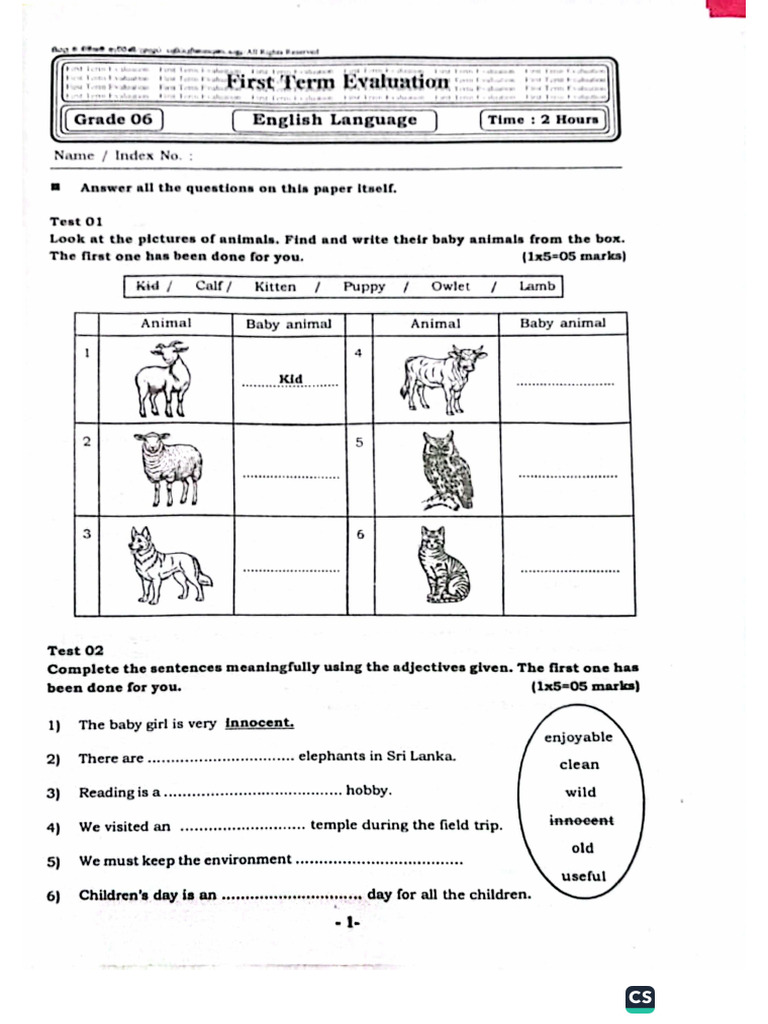 English - Grade 6 - First Term Test 2025 - Central Province | PDF