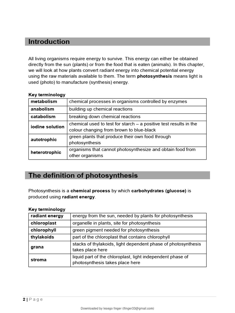 Understanding Photosynthesis Process | PDF | Chloroplast | Photosynthesis