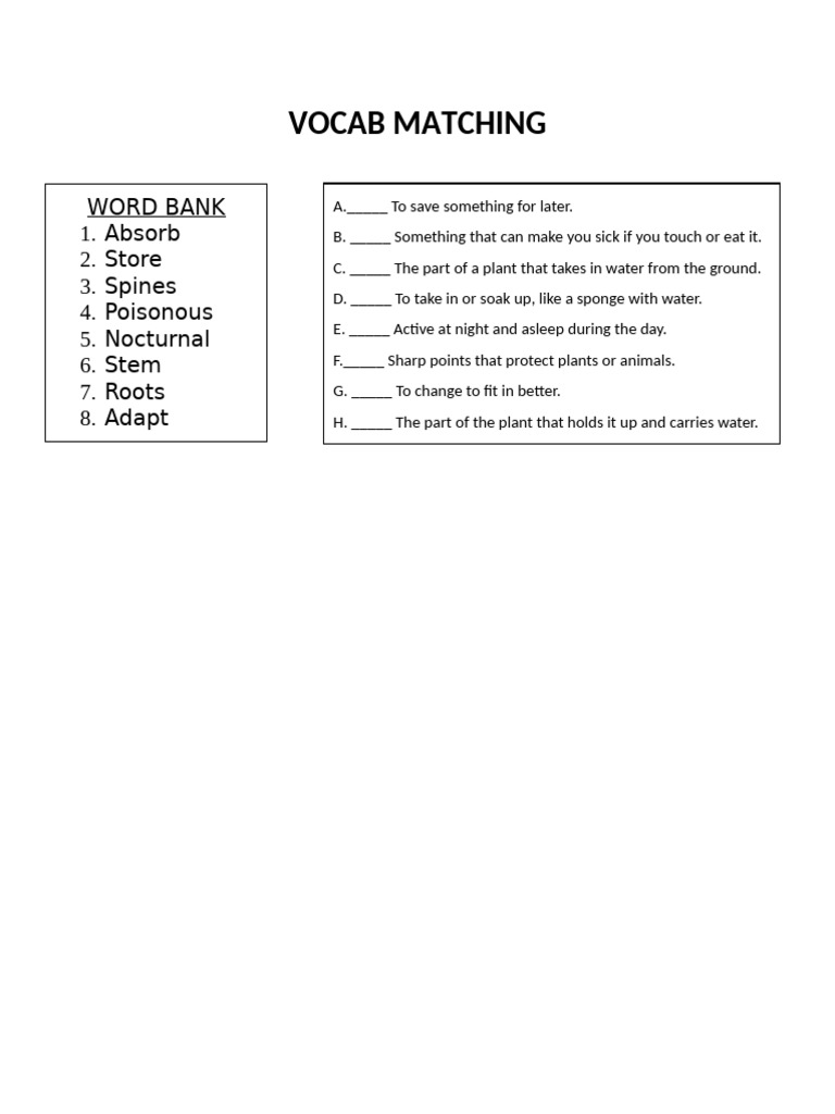 My Cacti Adventure - Worksheet | PDF