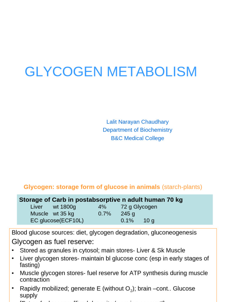 Glycogen Metabolism Lalit | PDF | Glycogen | Glycolysis