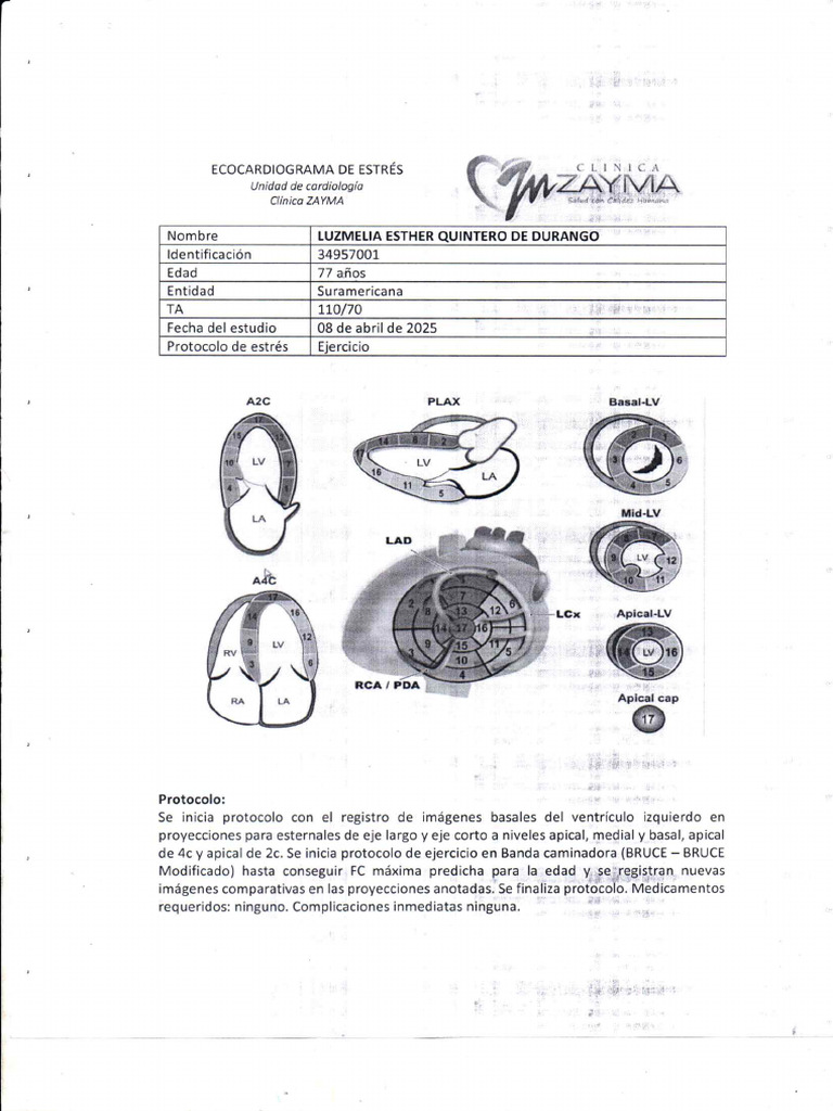 Clinica Zayma | PDF