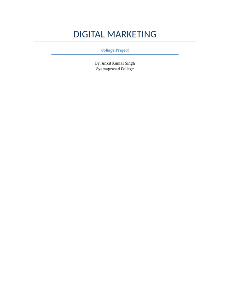 Professional Digital Marketing Project | PDF | Digital Marketing ...