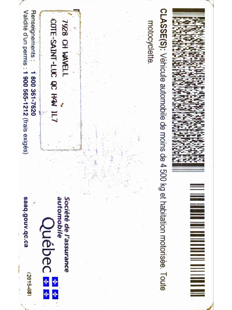 Driver's License | PDF