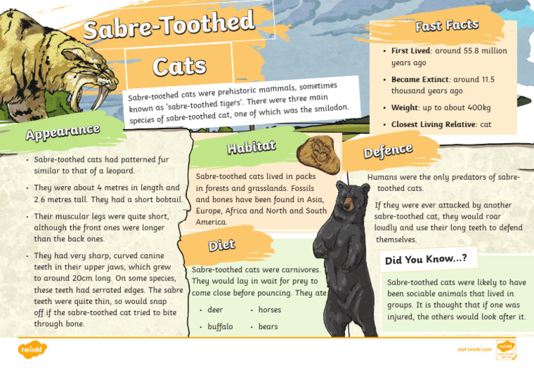 Sabre-Toothed Cat Fact File | PDF | Tooth | Cats