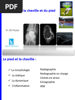 Radiographie de la cheville et du pied | PDF | Pied | Système squelettique