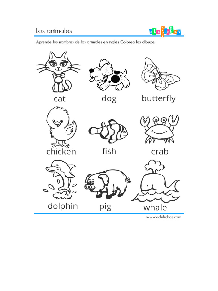 Animals In English Pdf