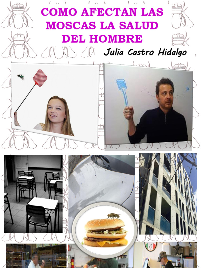 Clase Teoria DIPTERA Moscas | PDF | Mosca | Insectos