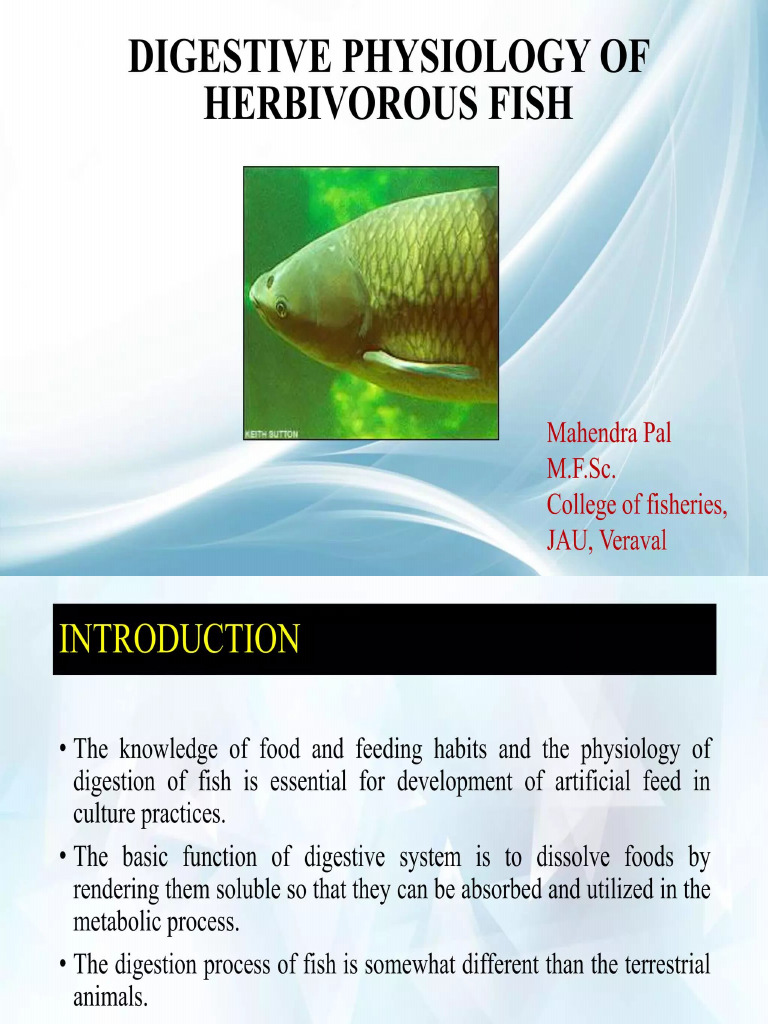 Fish Metabolism | PDF