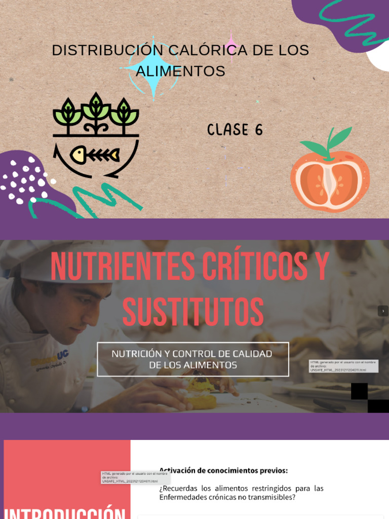 CLASE 7 Distribución Calórica | PDF