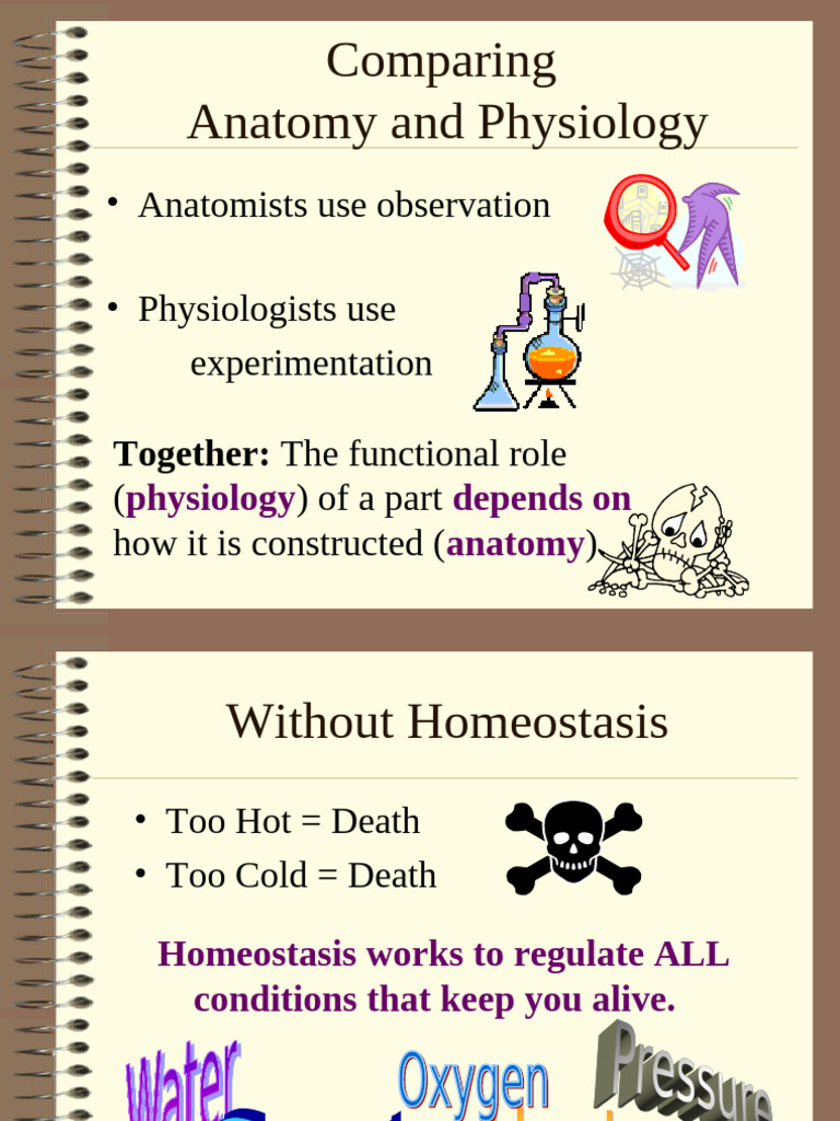 Day 2 Tutorial Slides | PDF