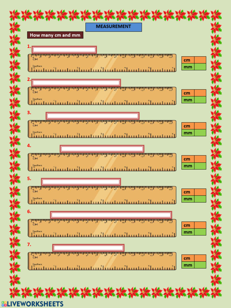 Worksheet On Measurements | PDF