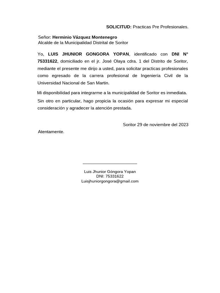Solicitud de Prácticas Profesionales | PDF