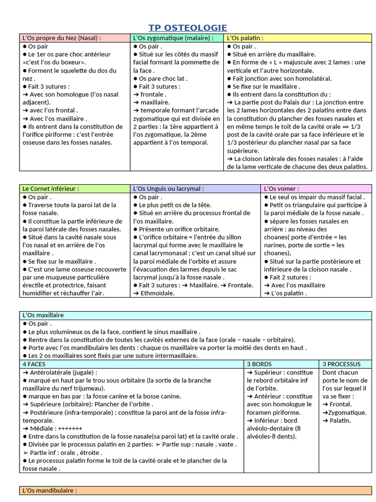 Anatomie des Os Faciaux et Cavités Nasales | PDF | Anatomie humaine ...