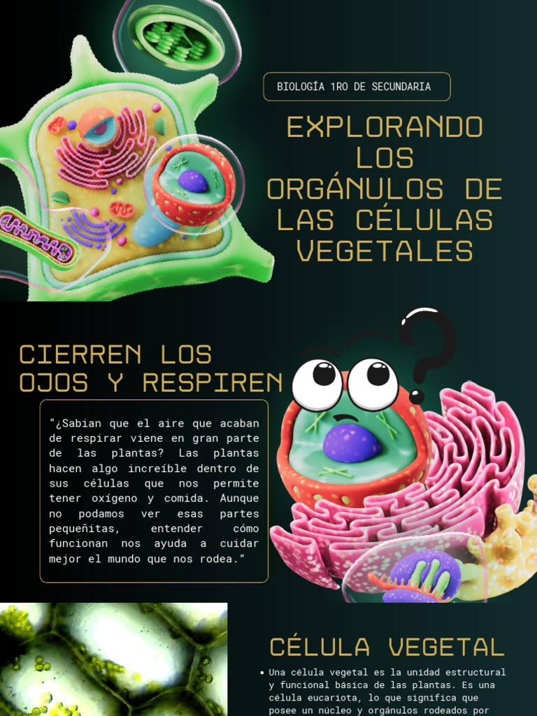 Plant Cell Organelles NGSS Educational Presentation in Black and Yellow 3D - 20250522 - 062218 ...