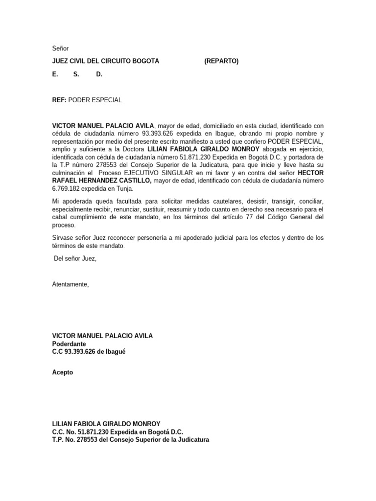 Poder Victor Palacio | PDF