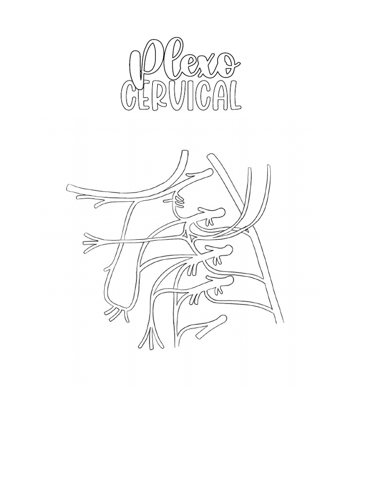 Cervical | PDF
