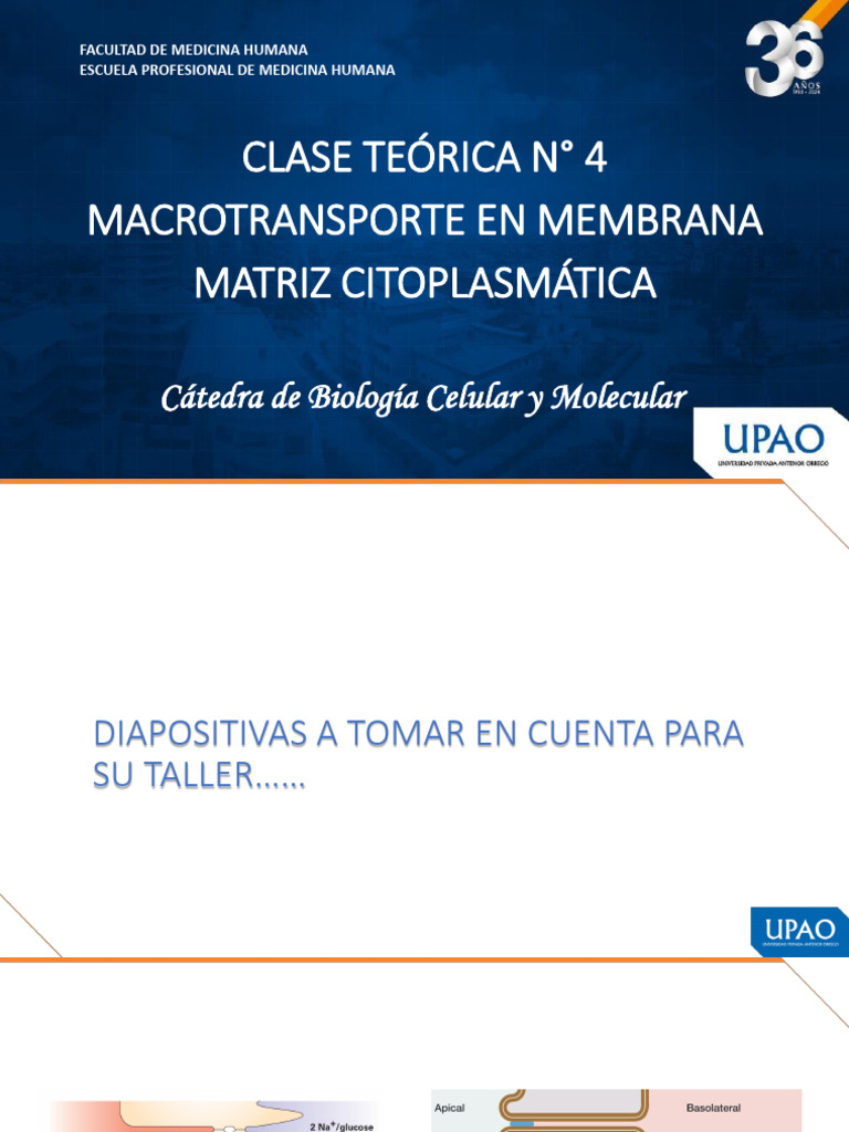 Clase Teórica #4 Macrotransporte en Membrana Matriz Citoplasmática ...