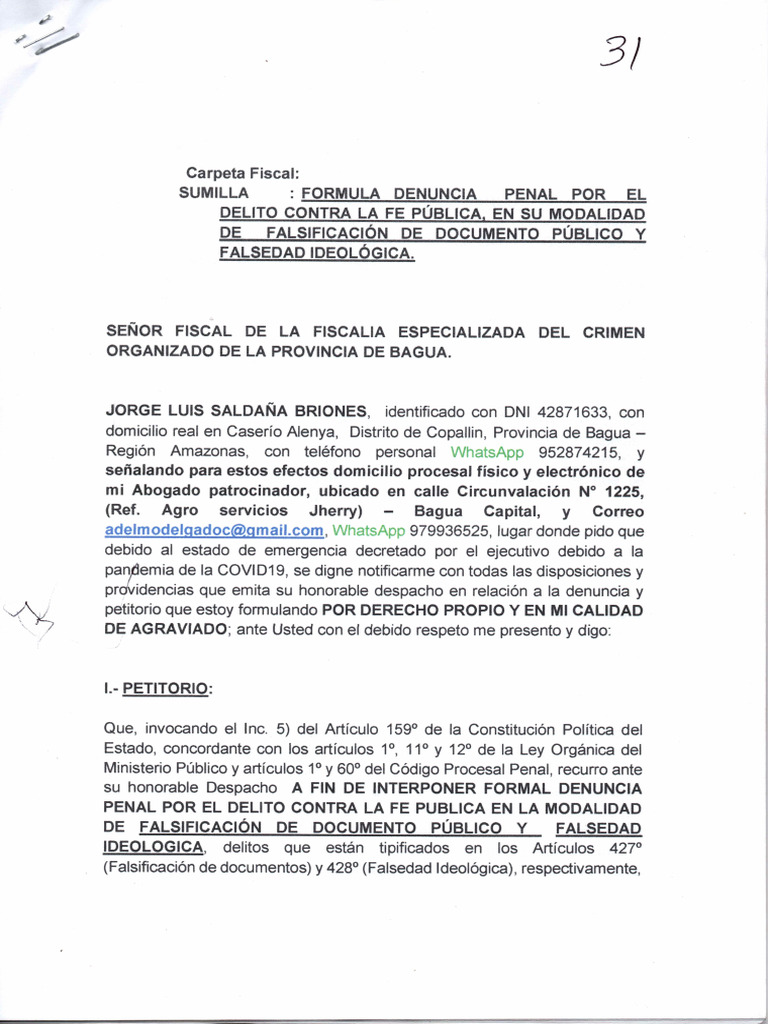 Denuncia Final | PDF