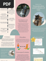 Wild Cat Family List by Lineage - Family | PDF | Felidae | Panthera