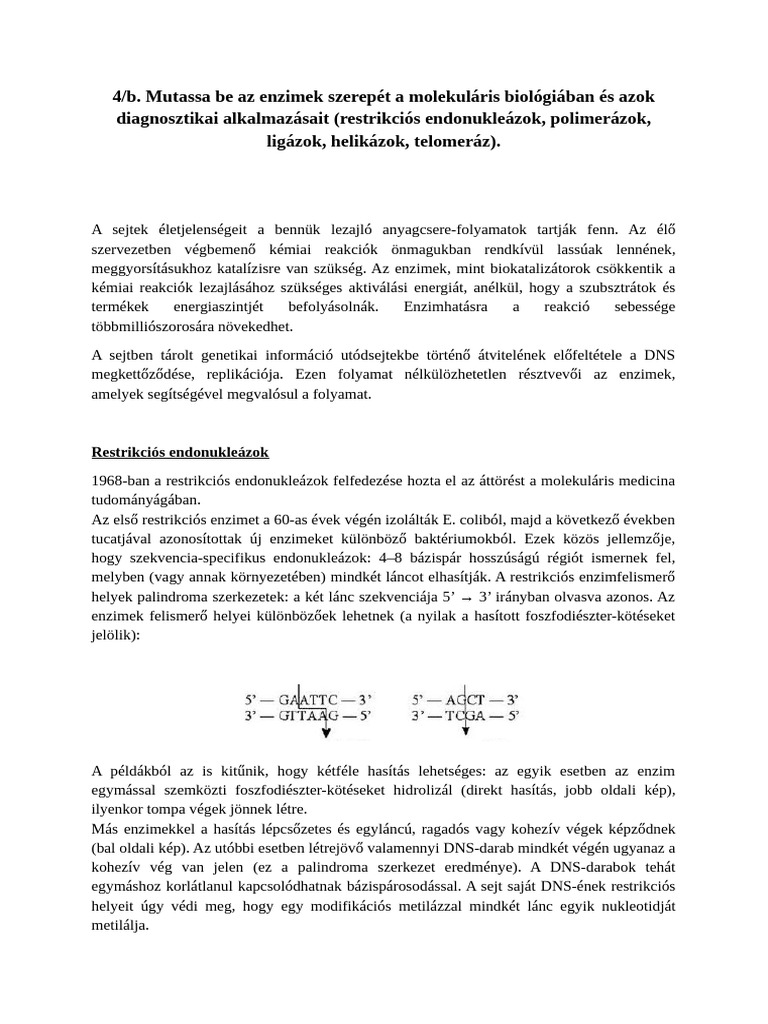 Tétel - Mutassa Be Az Enzimek Szerepét A Molekuláris Biológiában És ...