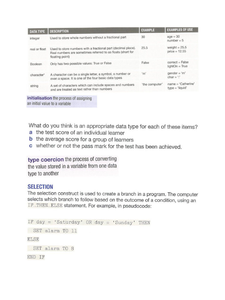 Programming Loops and Subprograms Explained | PDF