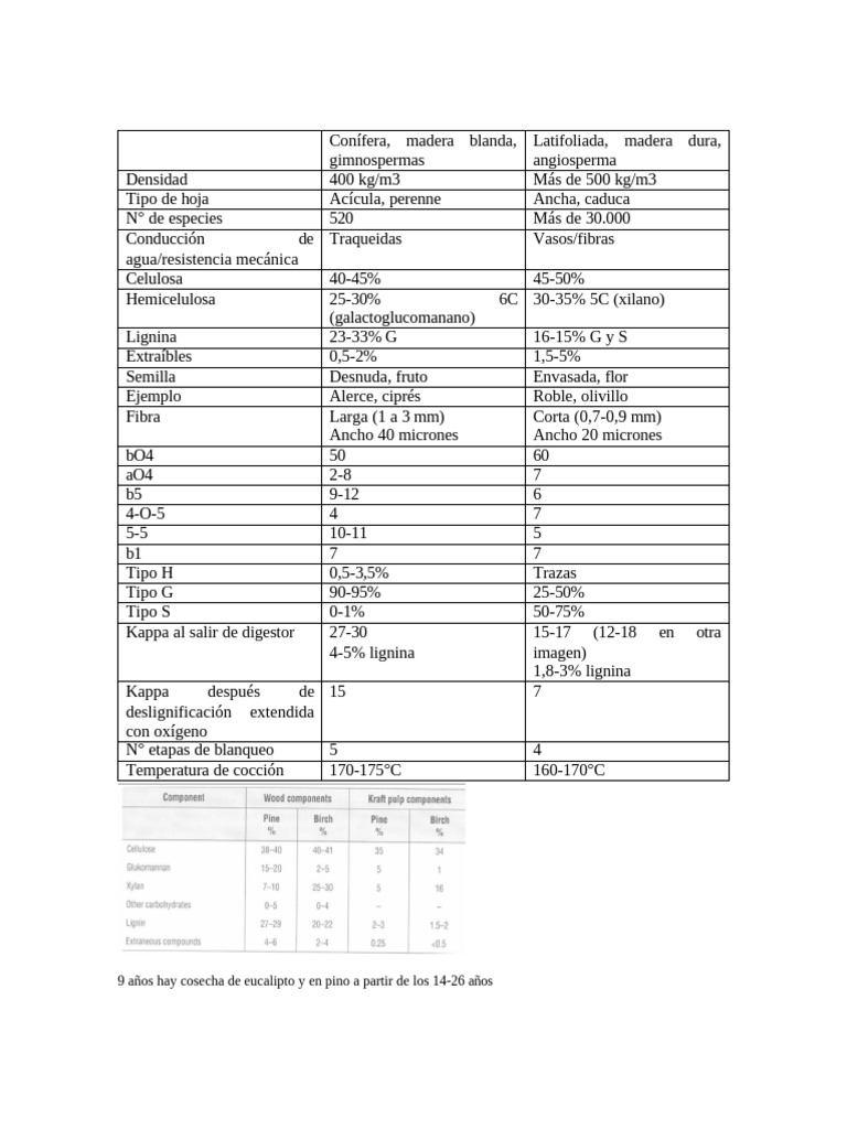 Resumen c1 Pulpaje | PDF | Papel de pulpa) | Madera