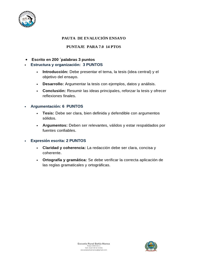 Pauta de Evaluación Ensayo | PDF