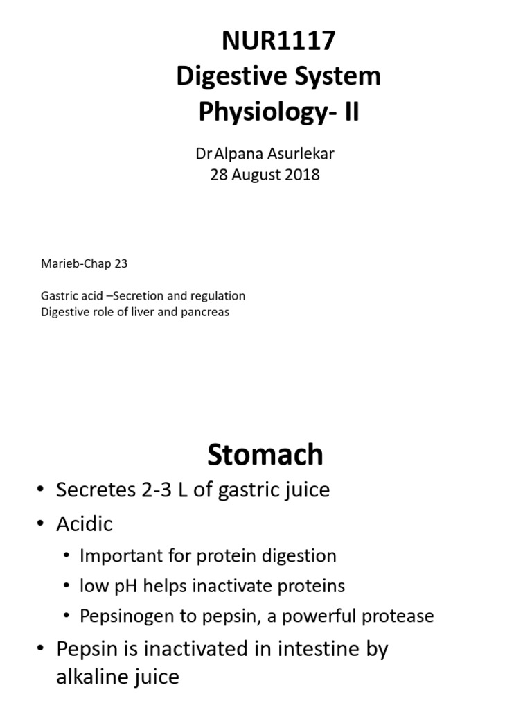 WK 3 - Digestive System Physiology Anp | PDF | Pancreas | Digestion