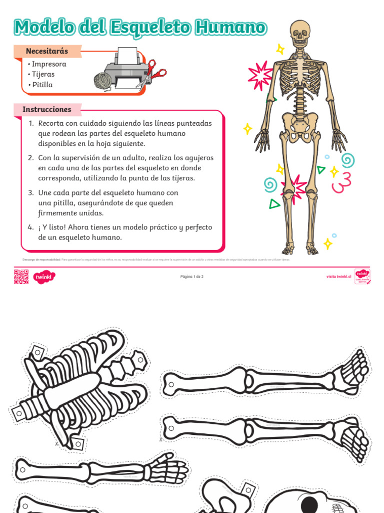 molde esqueleto | PDF