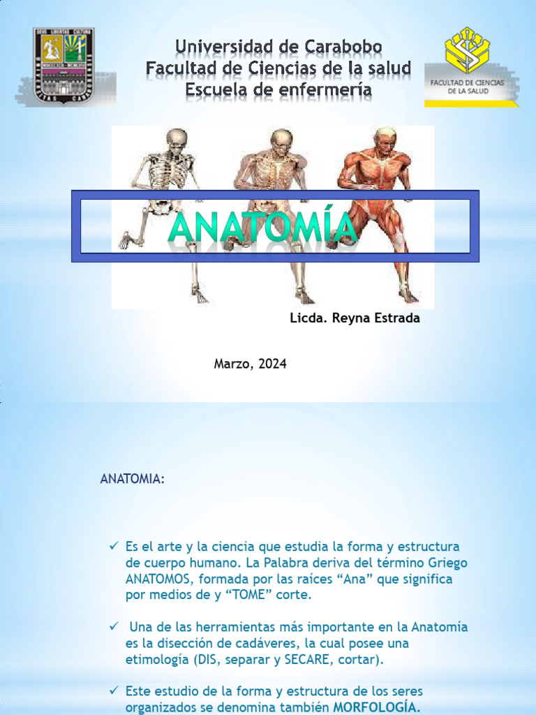 TEMA 1 Planos y Ejes 2024 | PDF | Términos anatómicos de ubicación | Mano