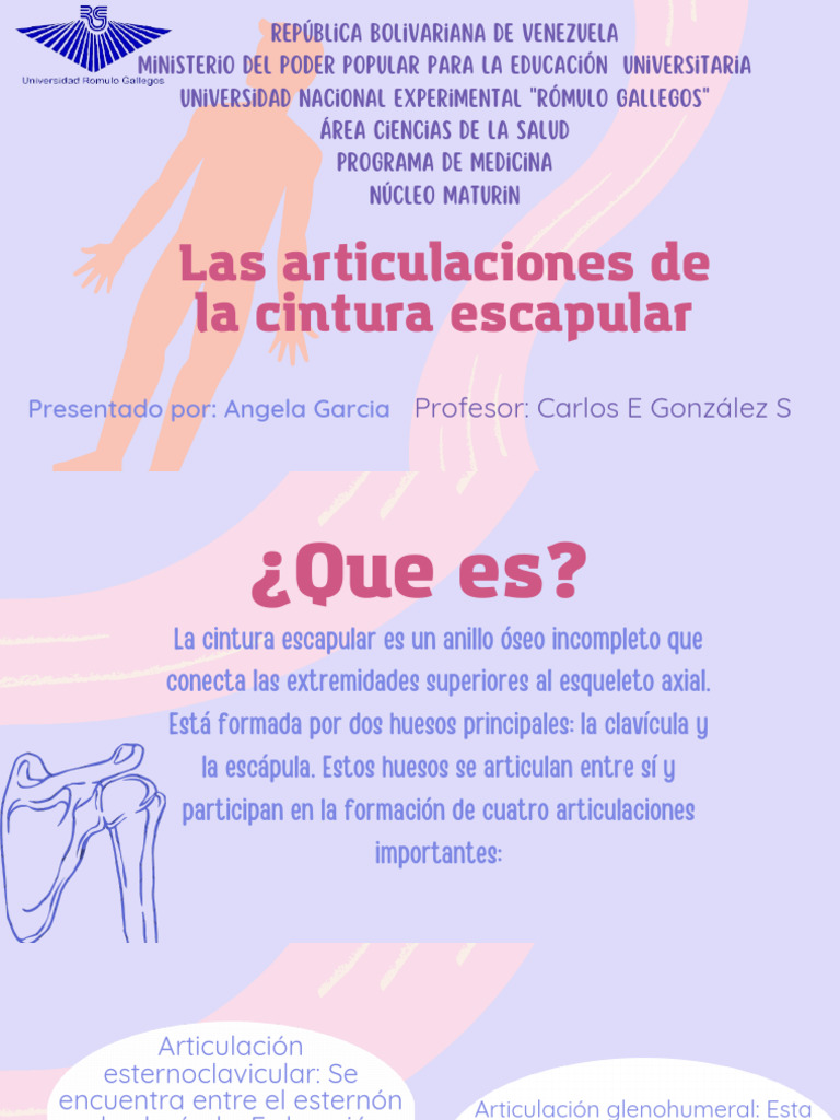 Articulaciones de la Cintura Escapular | PDF | Articulación | Hombro