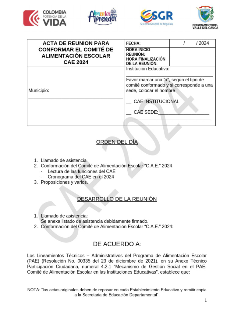 Acta para Conformación Cae 2024 | PDF