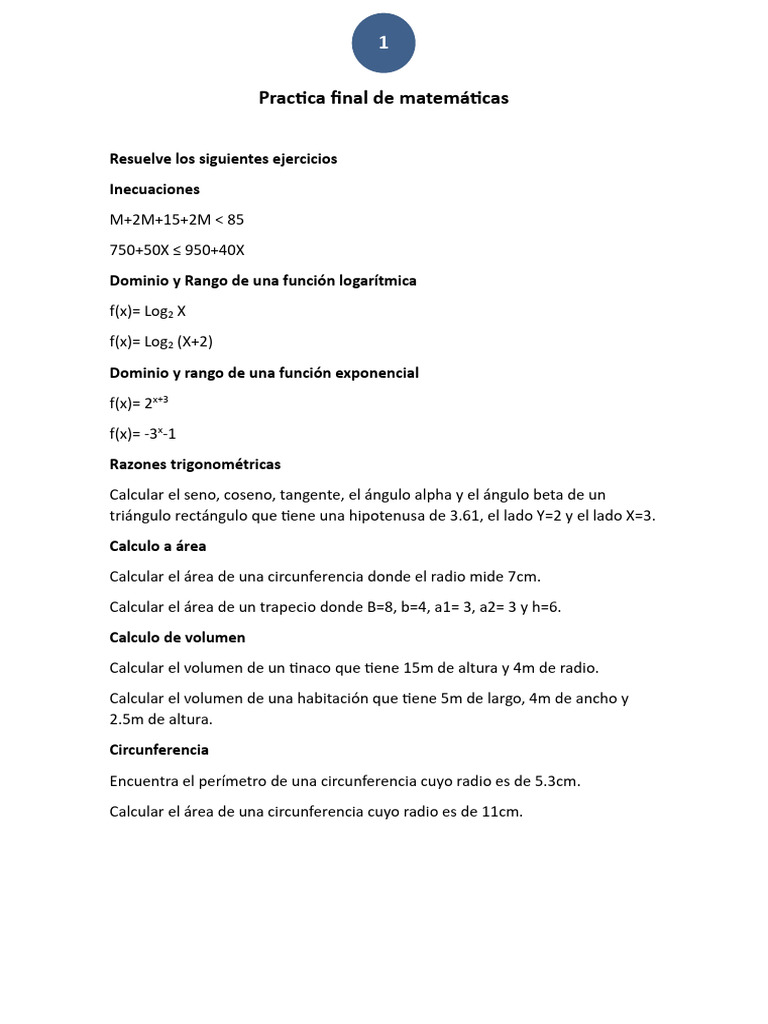 Practicas Individuales 2025 | PDF