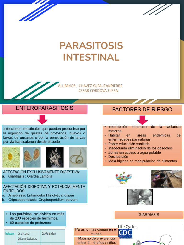 Parasitos Intestinales | PDF | Diarrea | Enfermedades y trastornos humanos