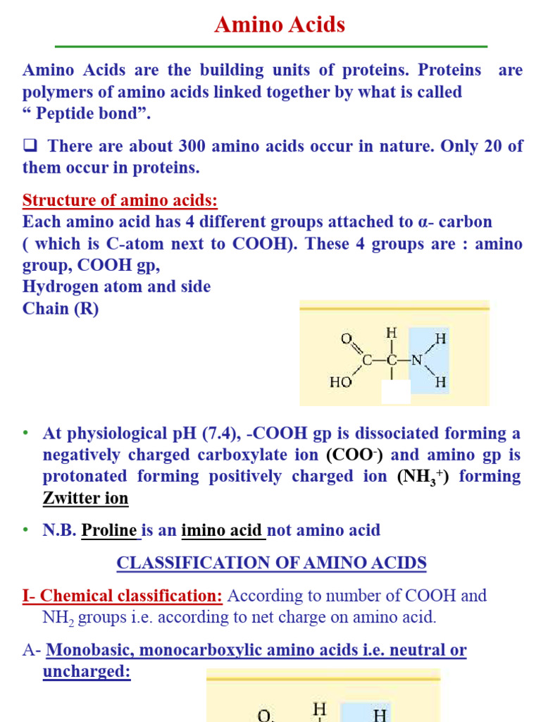 Amino Acid Introduction and Its Types Classifications | PDF | Amino Acid | Protein Structure