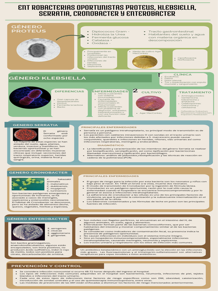 Ent Robacterias Oportunistas Proteus, Klebsiella, Serratia, Cronobacter ...
